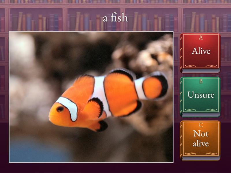 Lesson 1.1 Alive or not Alive - Cuestionario