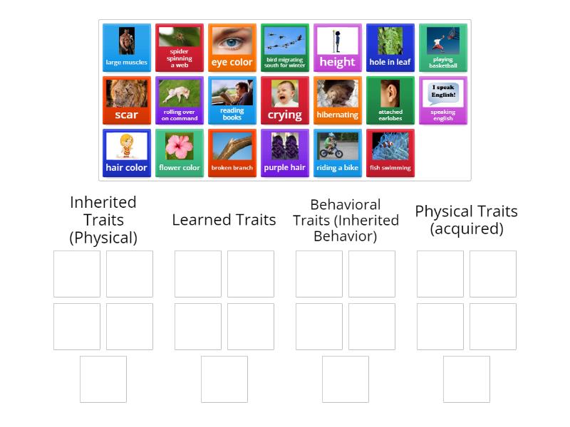 U.2 Inheritance in Plants and Animals (Flipped Classroom) - Group sort