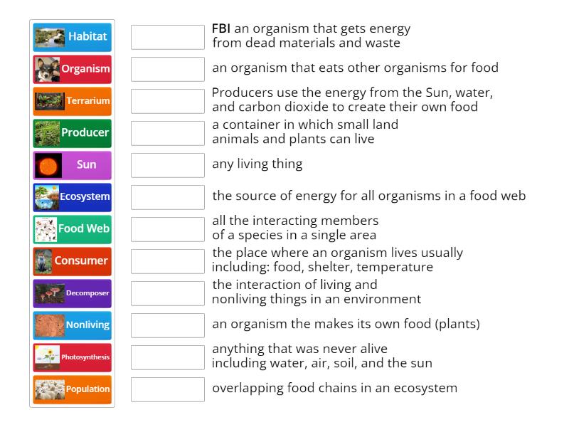 Ecosystem Interactions - Match up