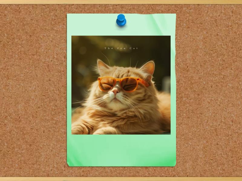 Personality adjectives/ cats - Flash cards