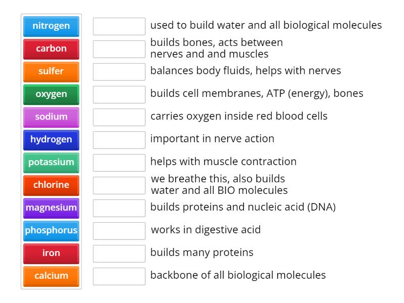 Biology- Element Function - Match up