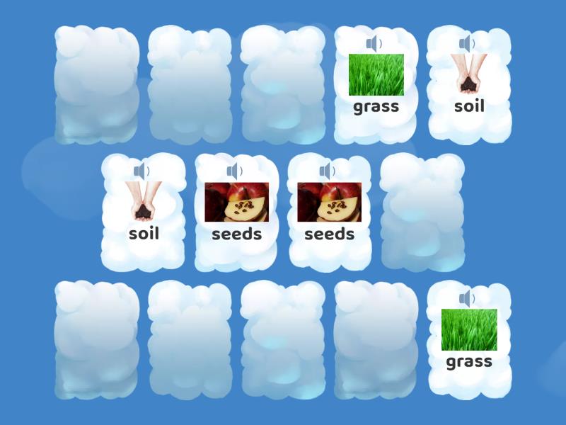 plants - Matching pairs