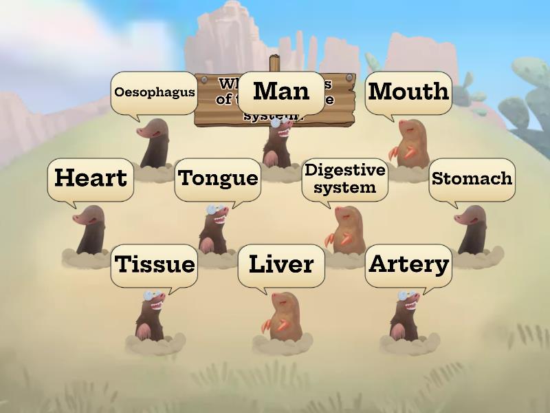the digestive system - whack a mole - Whack-a-mole