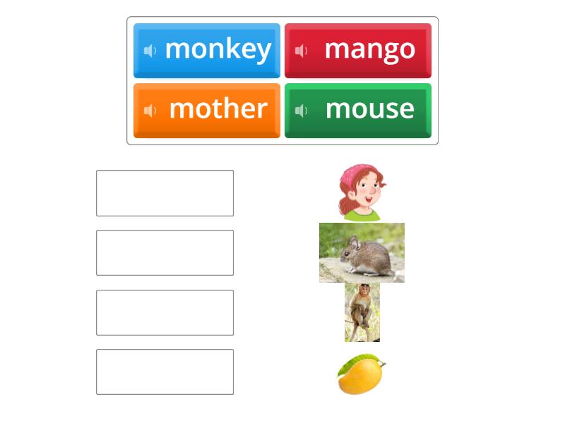 Ôn tập từ vựng: mango, mother, mouse, monkey - Match up