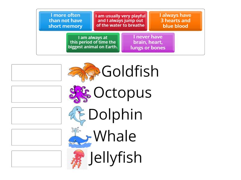 Sea animal facts matching - Match up