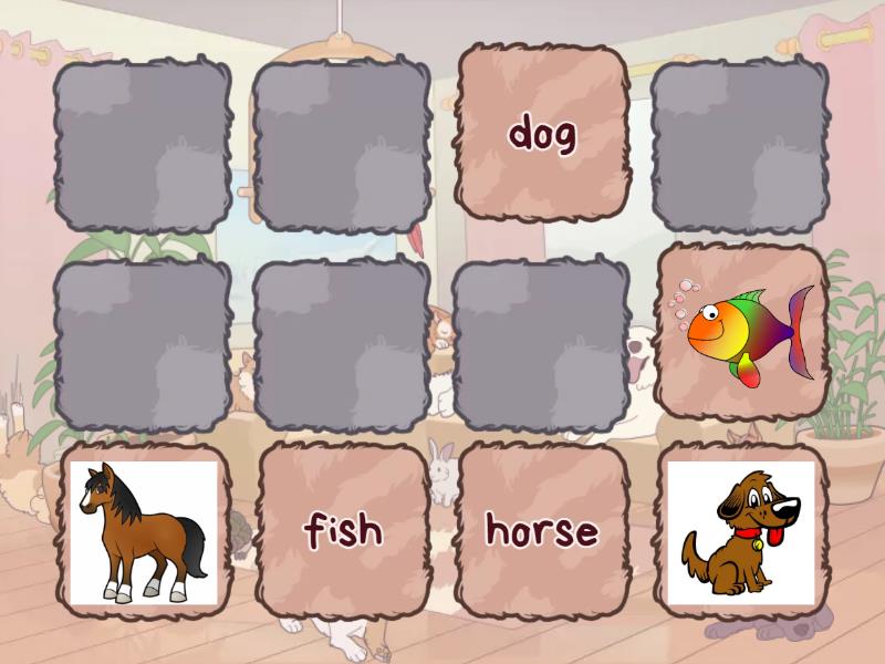 Our pets - Matching pairs