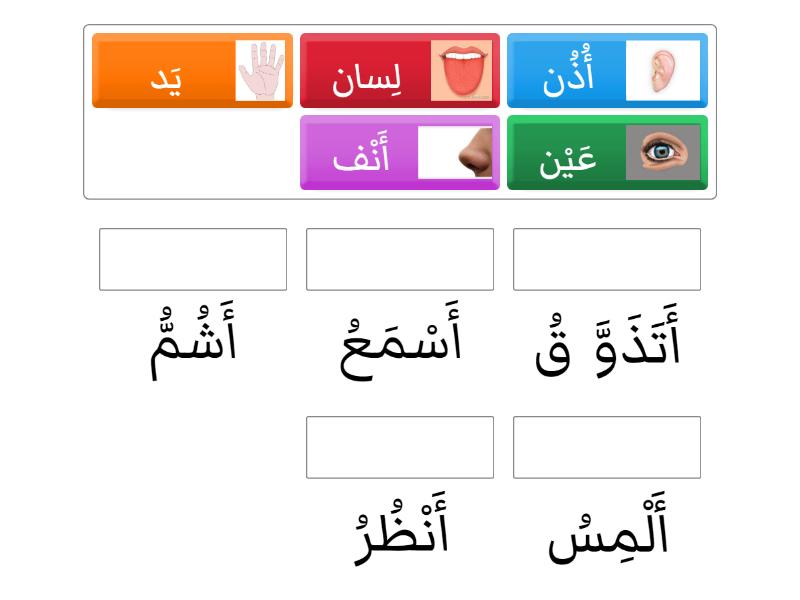 5 senses in Arabic 2024 - Match up