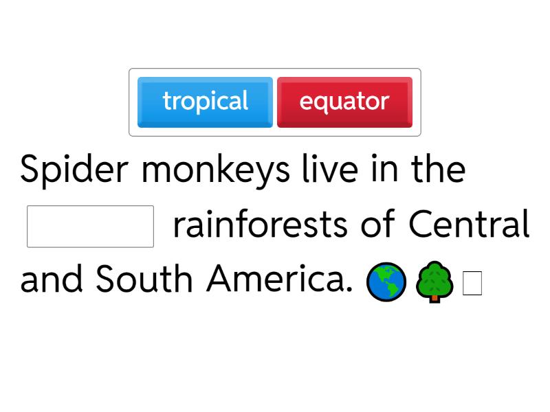 8.4 Rainforest animals quiz - Complete the sentence