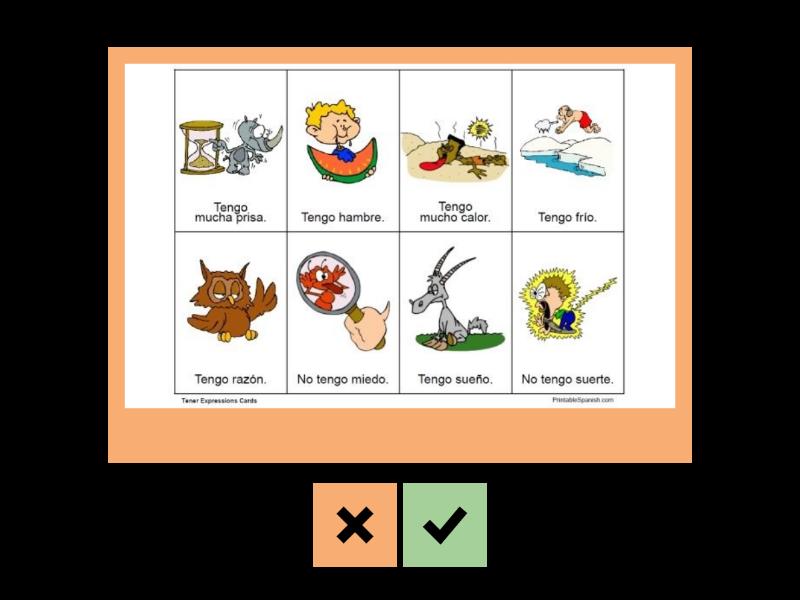 Tener Frases - Flash cards