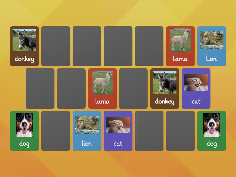 Animals - Matching pairs