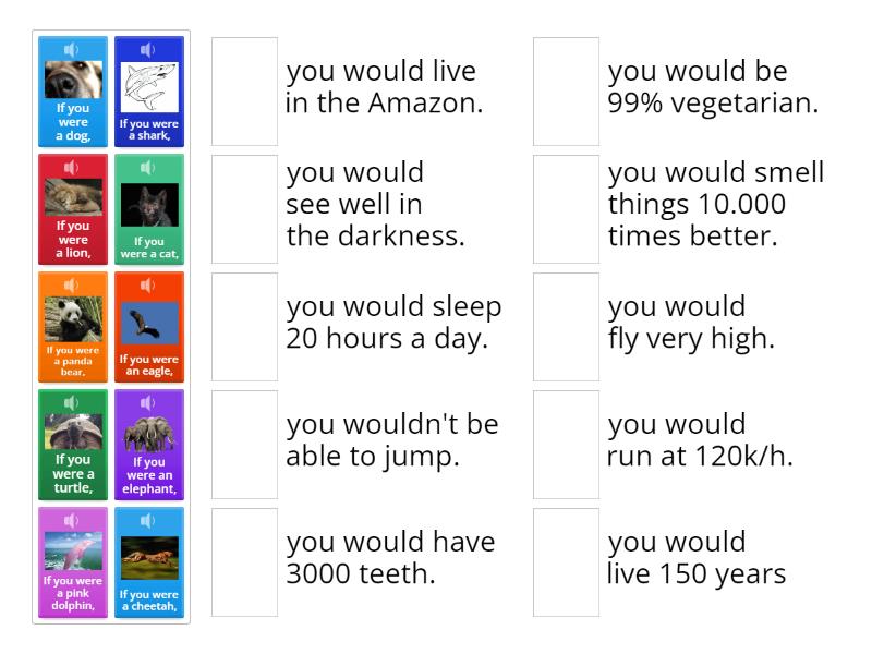 9A b2 Second conditional - Match up
