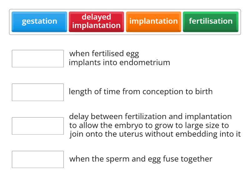 fertilization - Match up