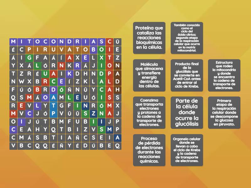 Descubre los Secretos de la Respiración Celular - Sopa de letras