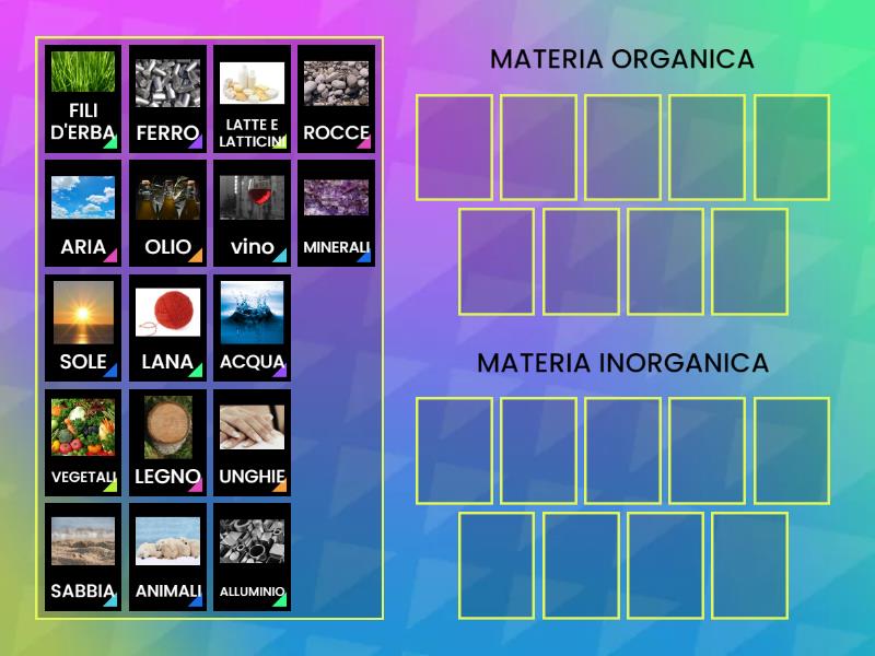 La materia organica e inorganica - Group sort