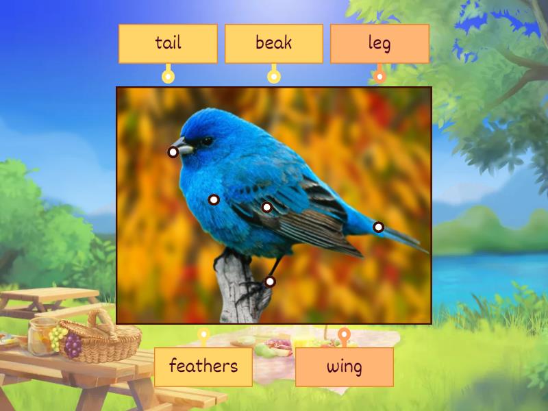 Spotlight 5 5b - Labelled diagram