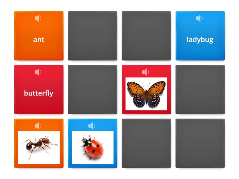 INSECTS MEMORY GAME - Matching pairs