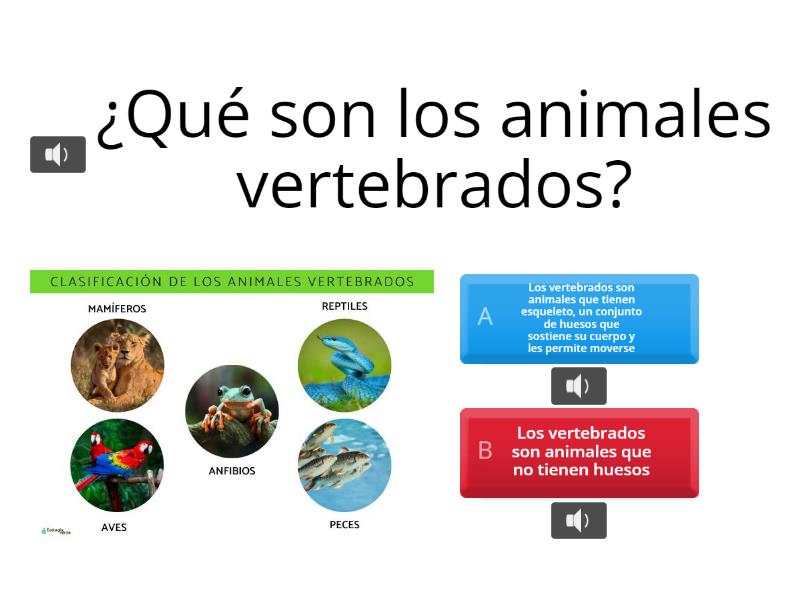 Ciencias Naturales Los Animales Vertebrados - Cuestionario
