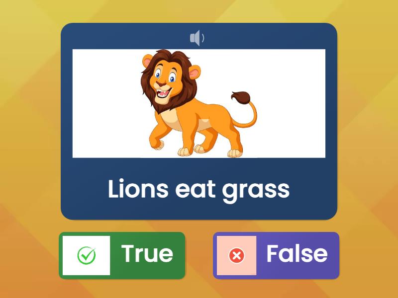 Class 1 Chapter 2 name: Animals - True or false
