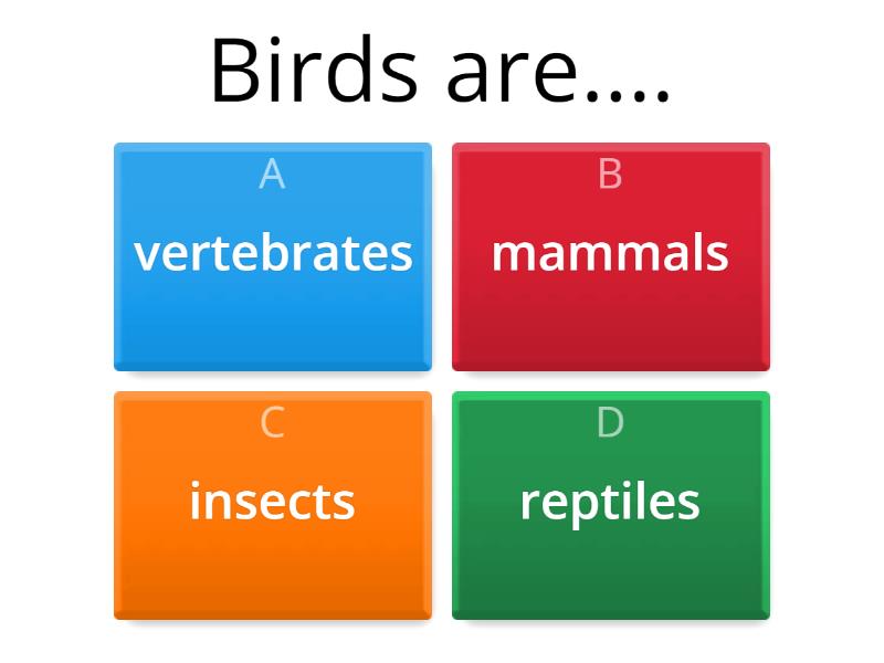 Birds - Quiz