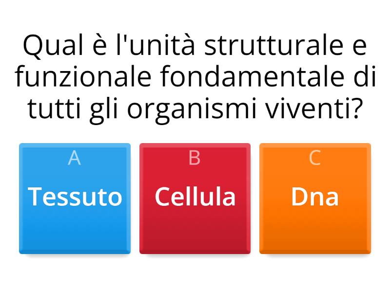 VERIFICA FINALE - Quiz