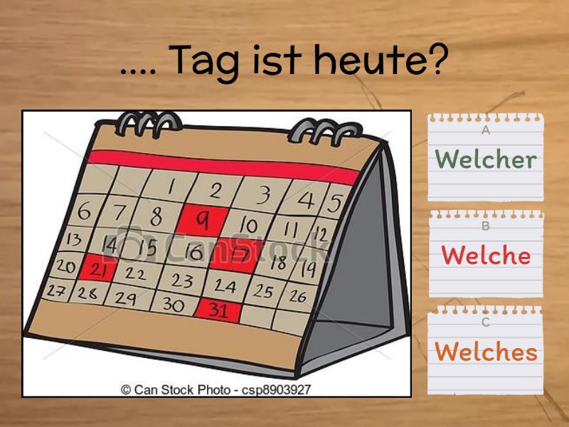 Welcher/Welche/Welches? - Quiz