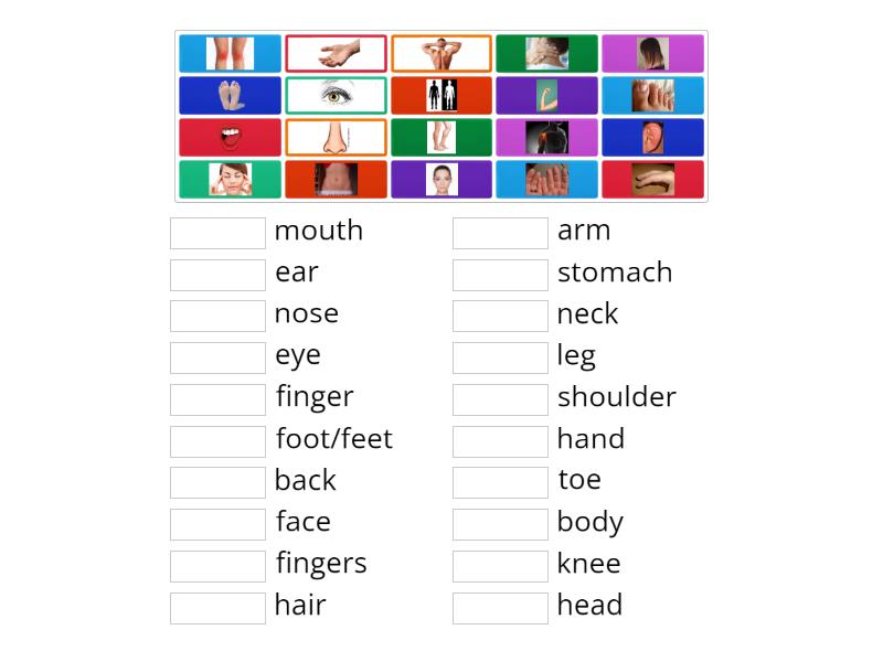 Parts of the body - Match up