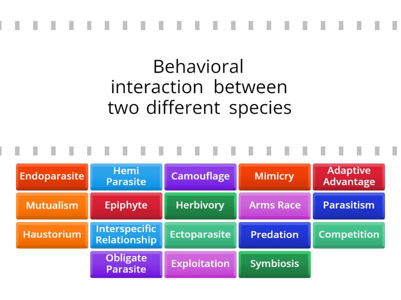13 Bio - Interspecific Relationships - Find the match