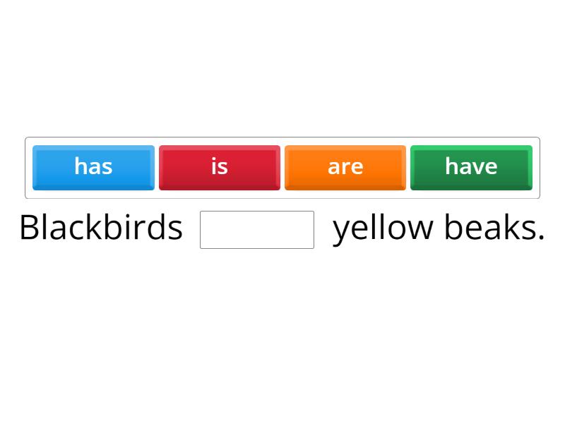 Birds cloze - Complete the sentence