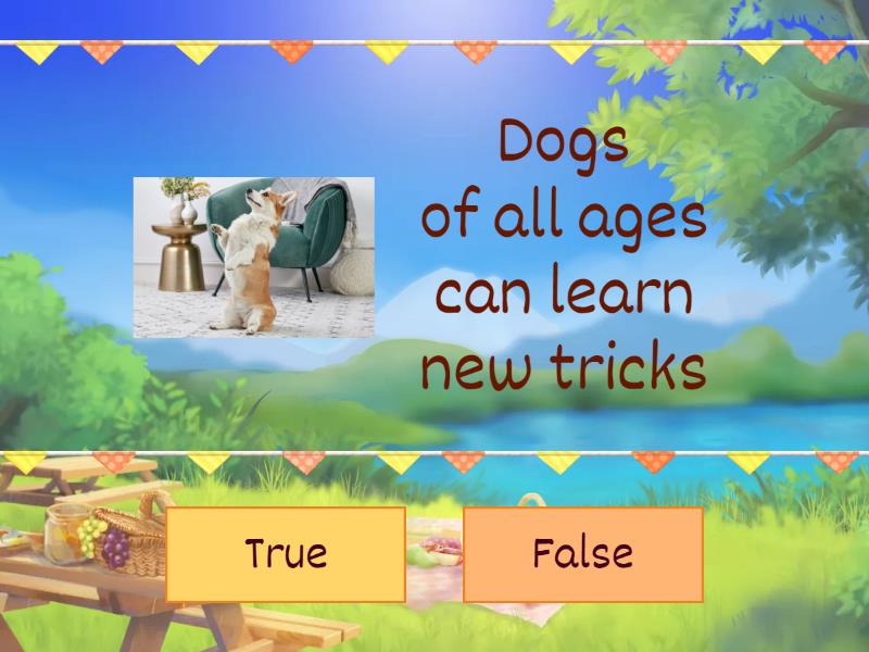 ? Dogs - True or false