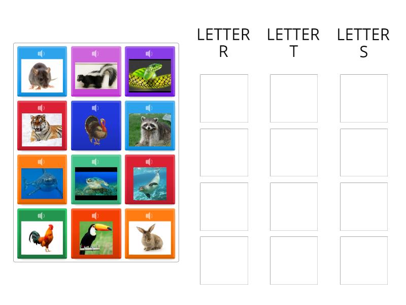 ANIMALS LETTER R -S-T - Group sort