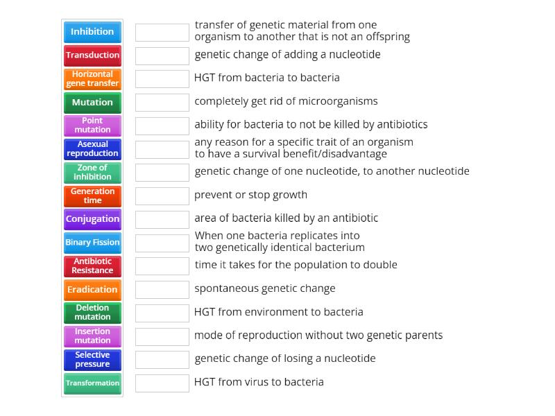 Microbiology Vocabulary Inhibition & Eradication - Match up