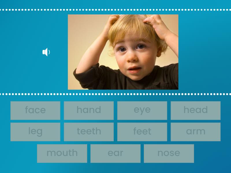 Prepare 5. Parts of the body, p. 36 (128) - Find the match