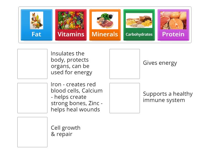 8.Nutrients & their function - Match up