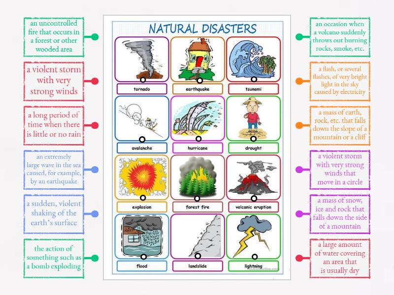 Natural Disasters Matching - Labelled diagram