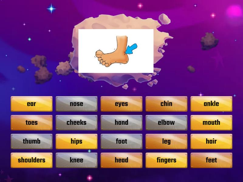 Grade 2 Body parts - Find the match