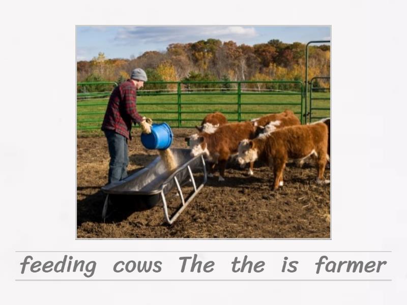 farming sentences - Unjumble