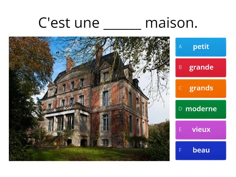 Grammaire : les accords des adjectifs - Cuestionario
