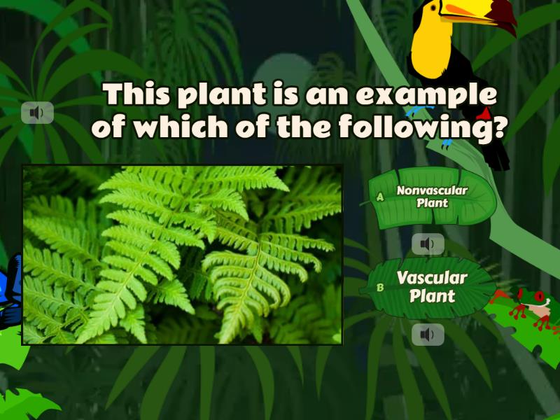 Vascular and Nonvascular Plants - Quiz