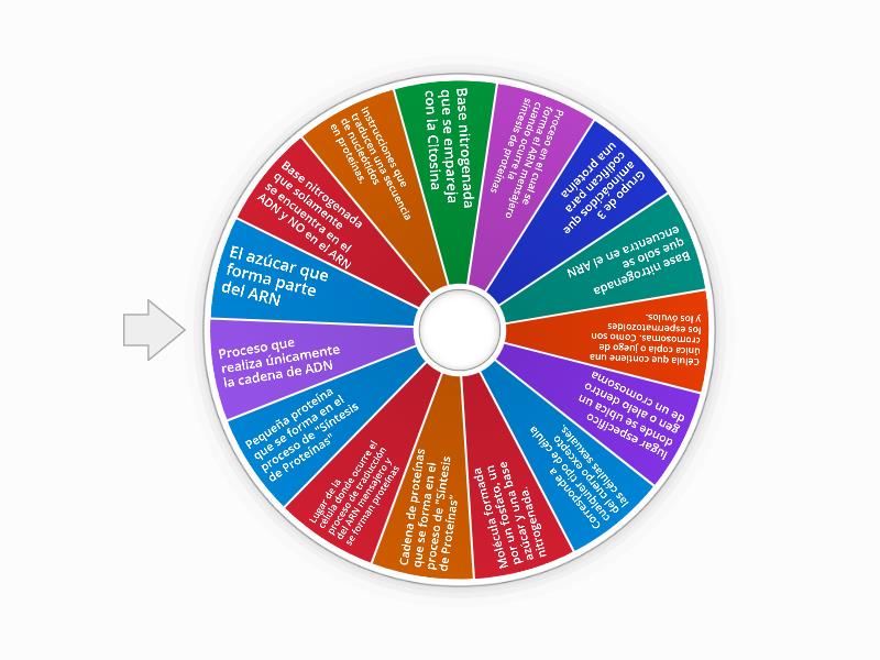 Rueda de Vocabulario General sobre ADN y ARN - Spin the wheel