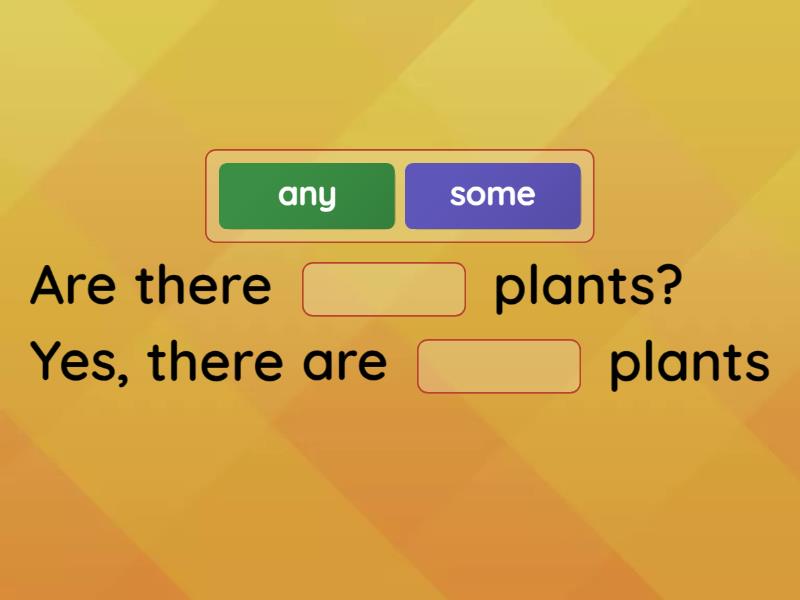 Quantifiers - Complete the sentence