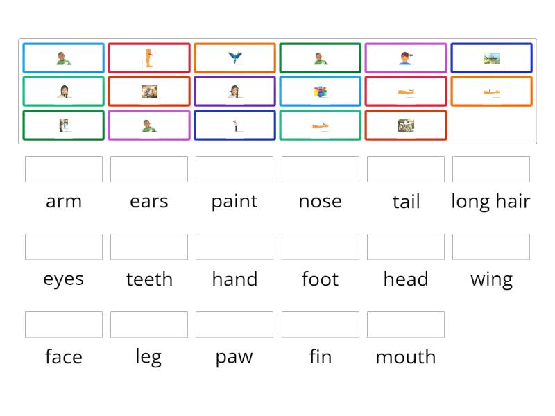 Wonderful World 1 Unit 5 Vocabulary - Match up