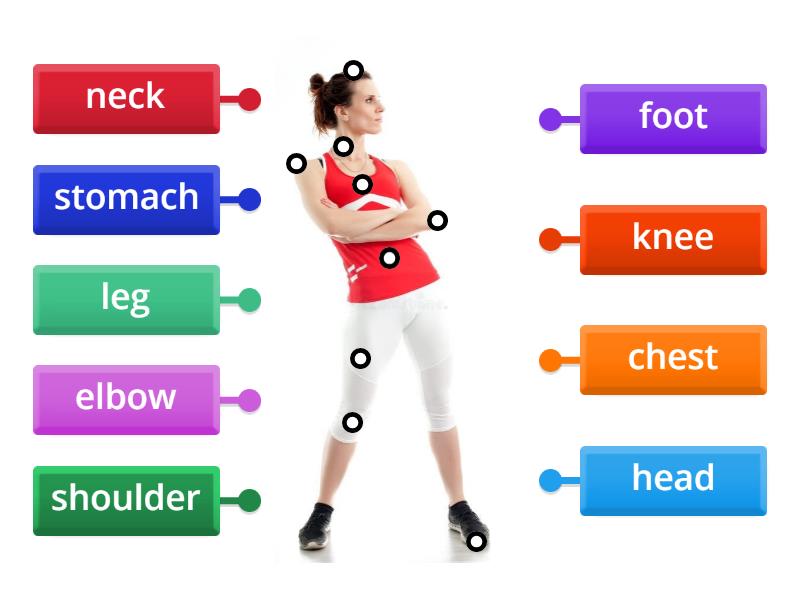 The Body - Labelled diagram