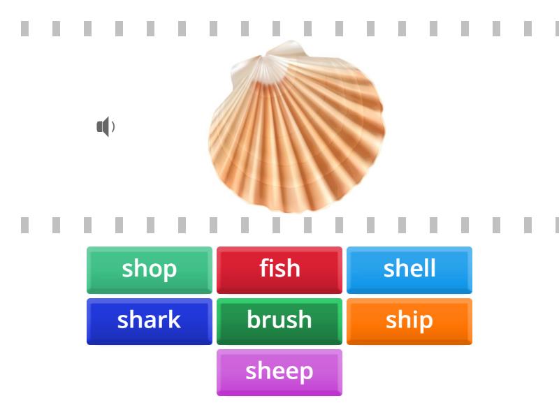 oxford phonics sh - Find the match