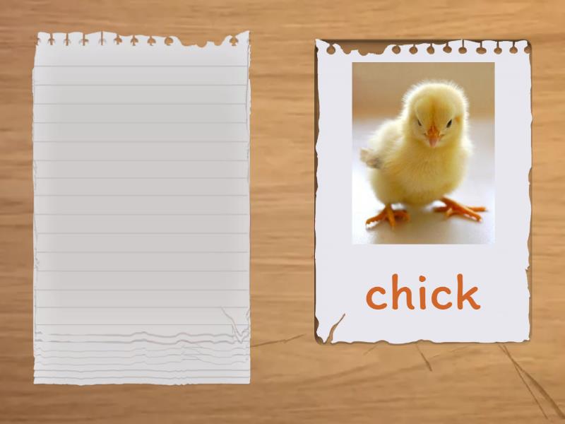 Baby animals - Speaking cards