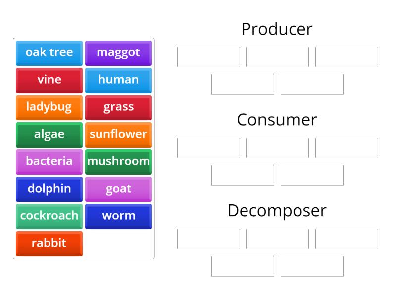 Producer, Consumer, Decomposer - Group sort