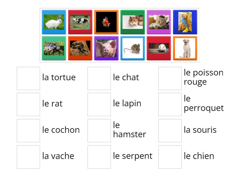 Les animaux - Match up
