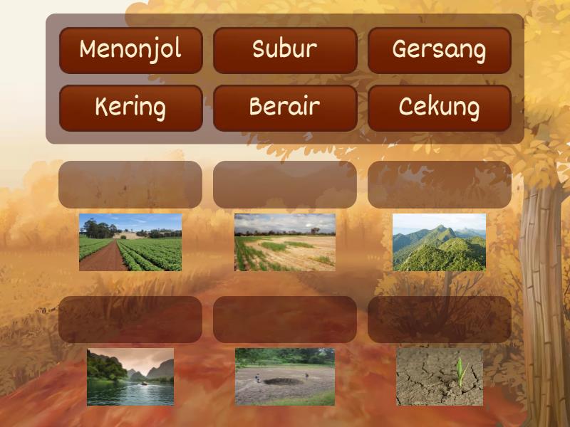 Permukaan Bumi (IPAS-Kelas 5) - Match up