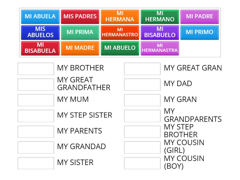 Mi familia vocab - Une las parejas