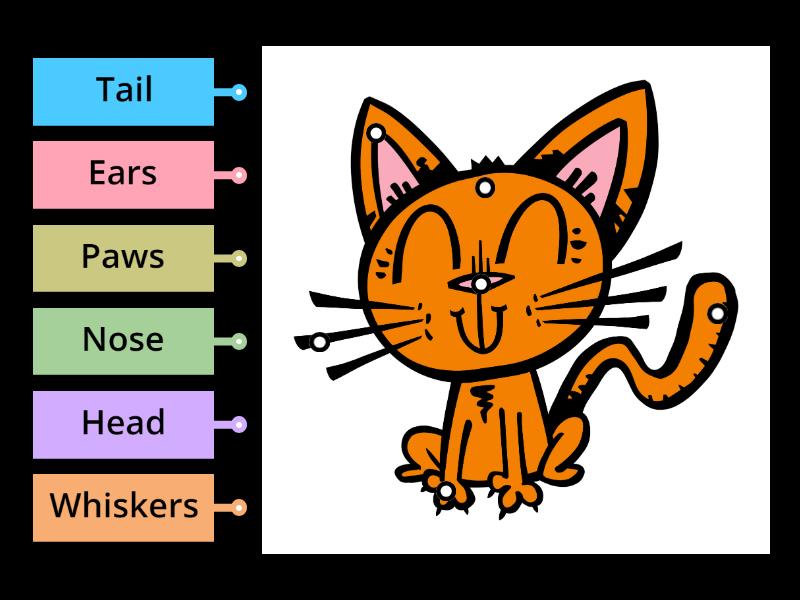 Label the Kitty - Labelled diagram