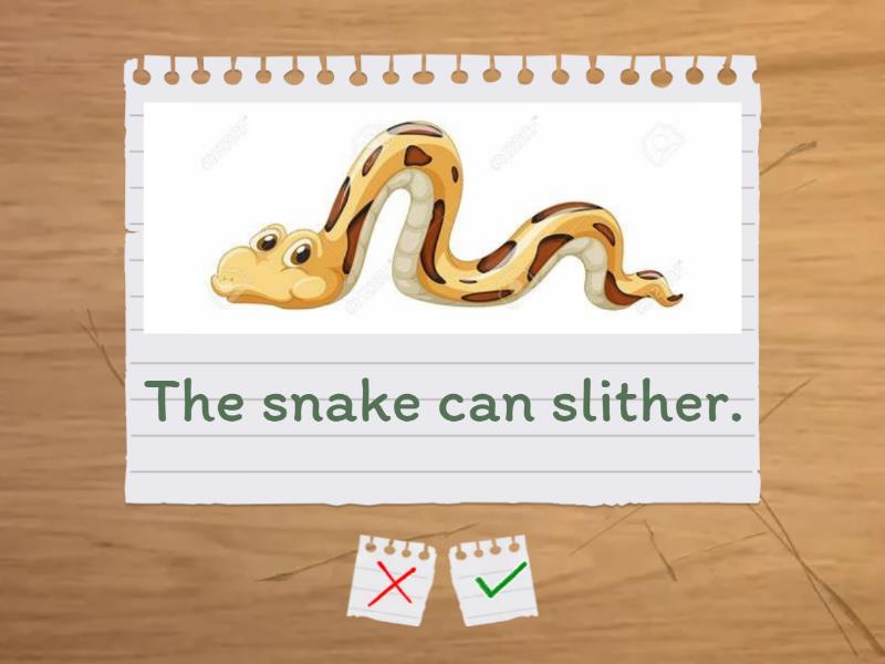 Thuyết trình - Raz b - Animals Can Move - Flash cards
